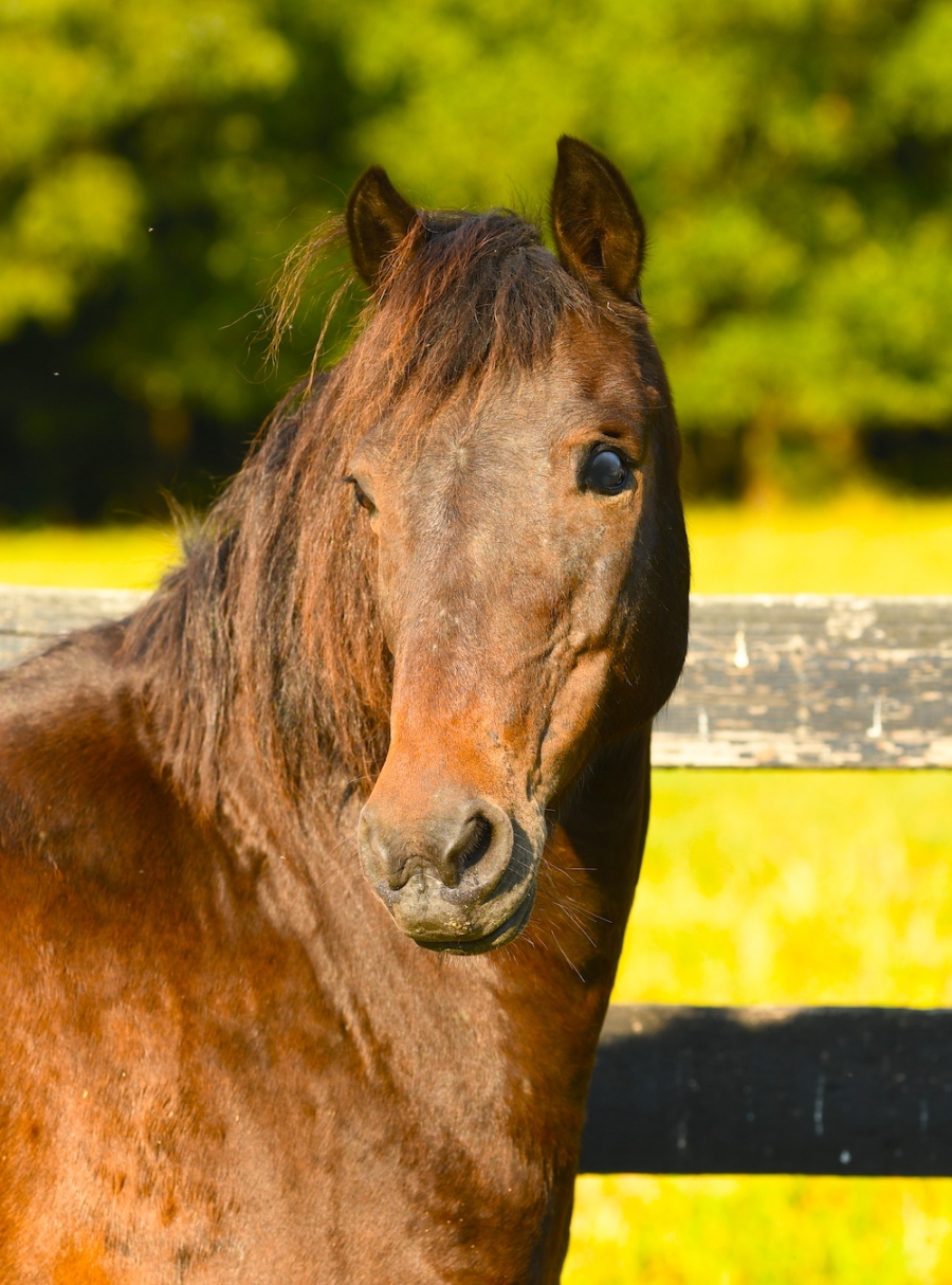 HEAVEN HELP ME (CAN)